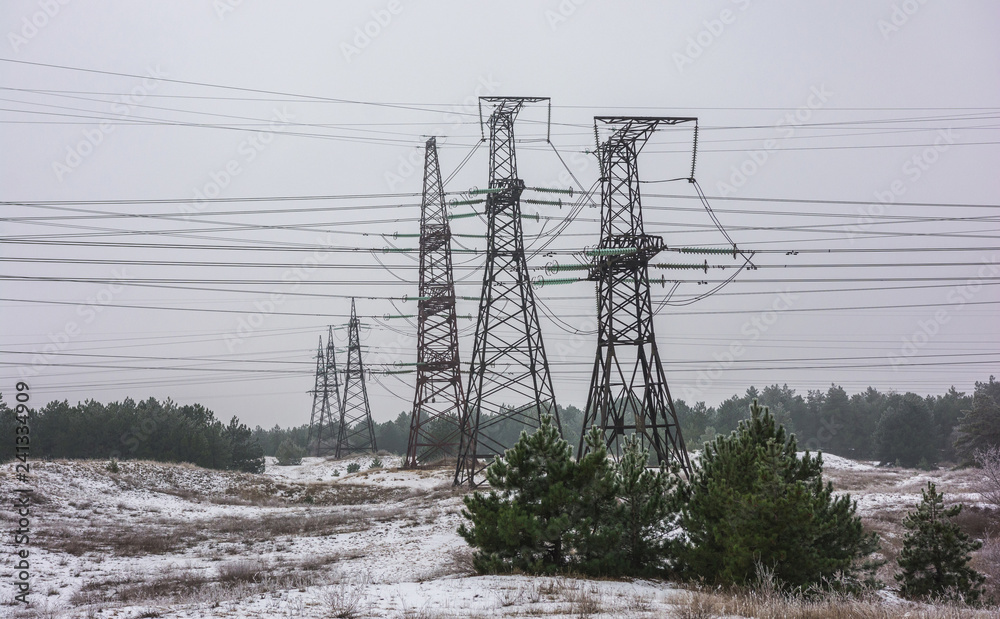 high-voltage power lines at clouds and pine forest. Stock Photo | Adobe ...