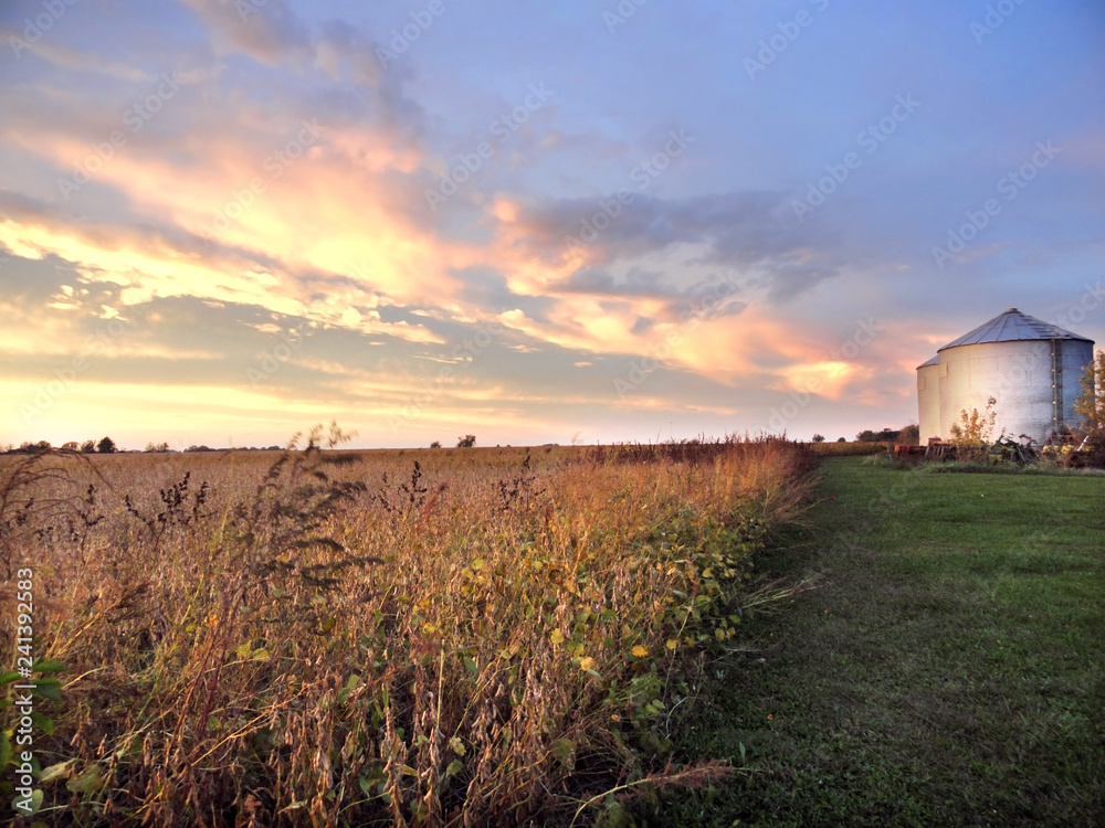 Midwestern Farm with Silo and Soybean Field at Sunset Stock Photo ...
