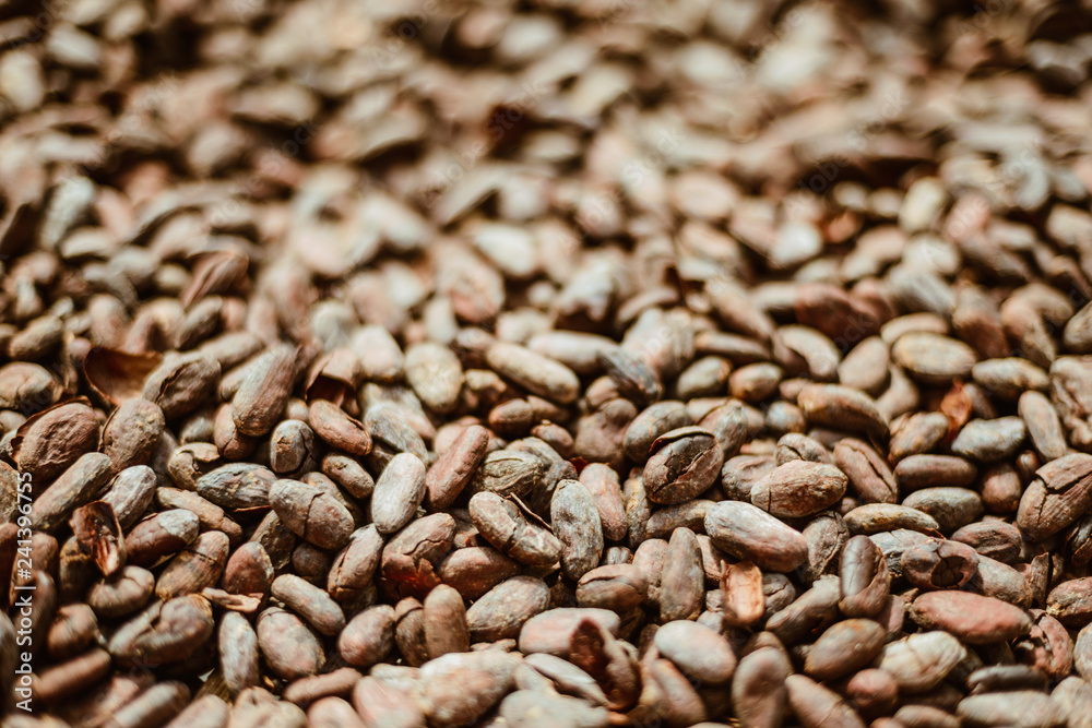 cocoa beans background, chocolate factory Stock Photo | Adobe Stock