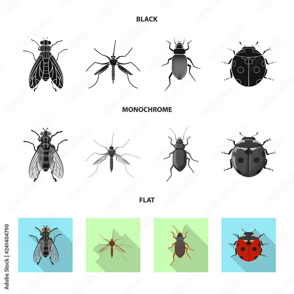 Vector illustration of insect and fly logo. Collection of insect and ...