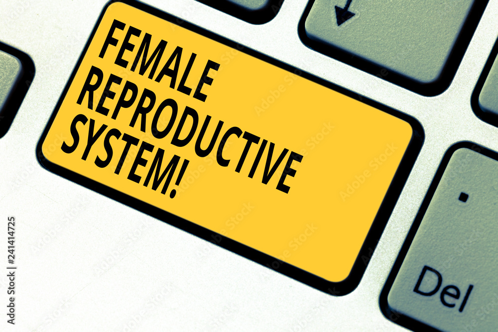 Writing note showing Female Reproductive System. Business photo ...