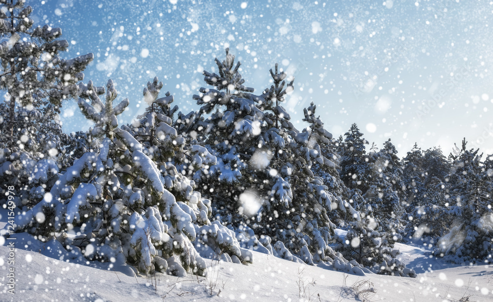 Snowflakes Falling From The Sky