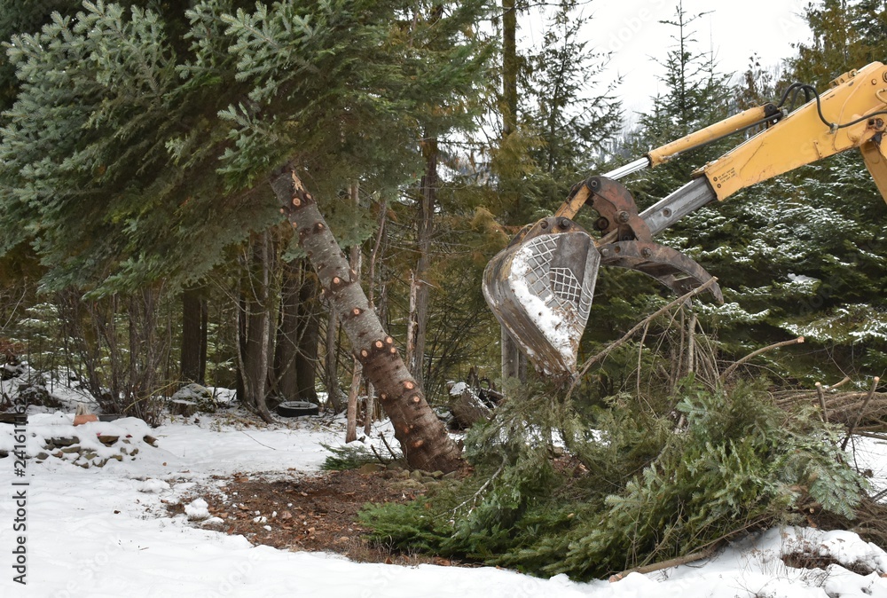 Backhoe bucket grabbing tree branches Stock Photo | Adobe Stock