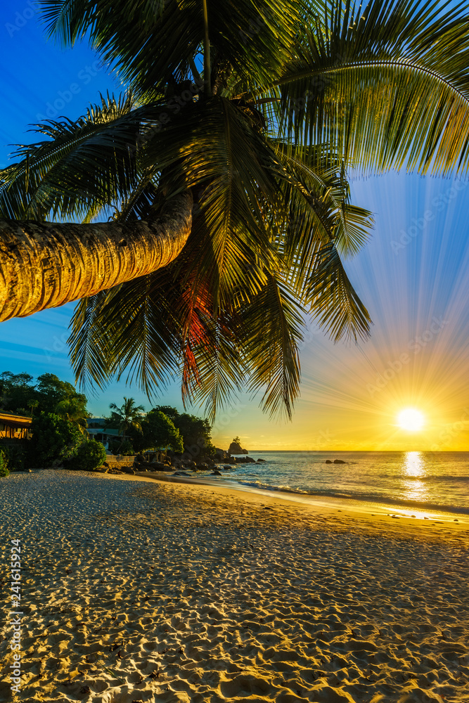 Romantic Beach Sunset
