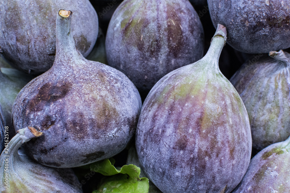 Figo Stock Photo | Adobe Stock