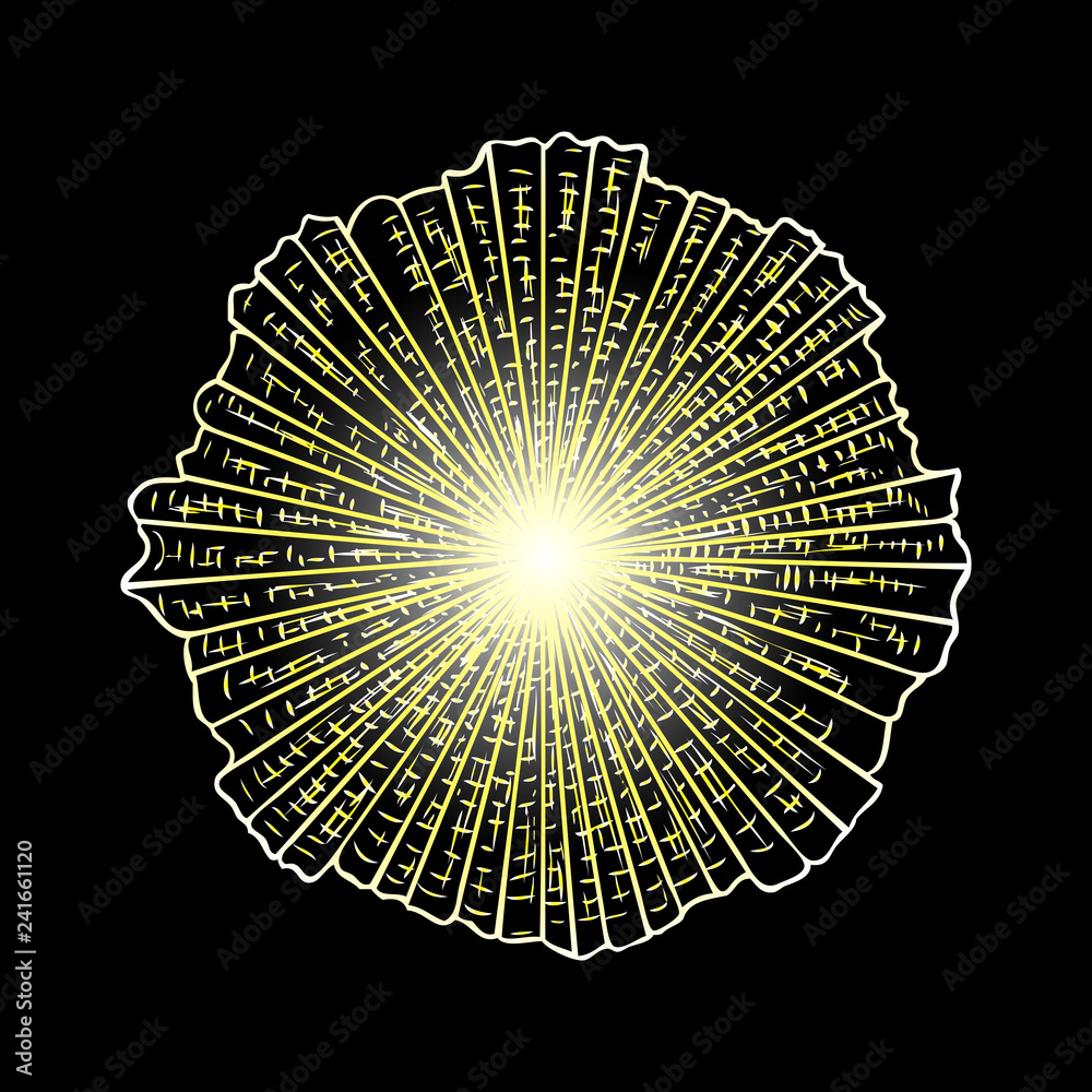 Rays of halo light. Hand drawn catholic rays isolated on black. Art ...