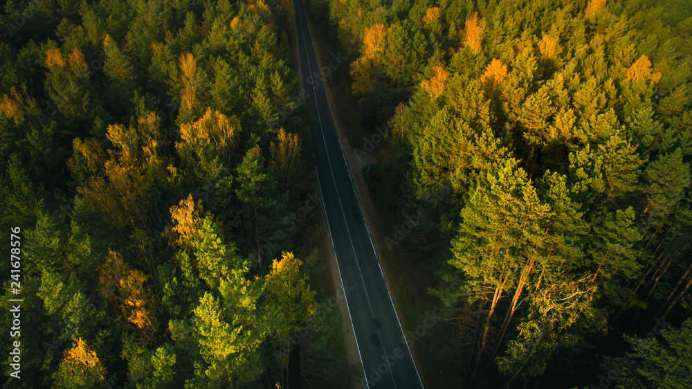Mountain road and autumn trees above the forest. Yellow, red and green ...