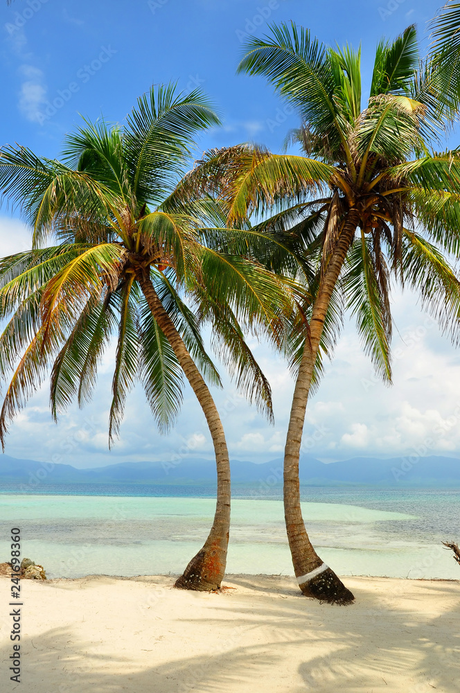 Palmeras en una playa paradisiacas en las islas del Caribe Stock Photo ... Palmeras en una playa paradisiacas en las islas del Caribe Stock Photo ...
