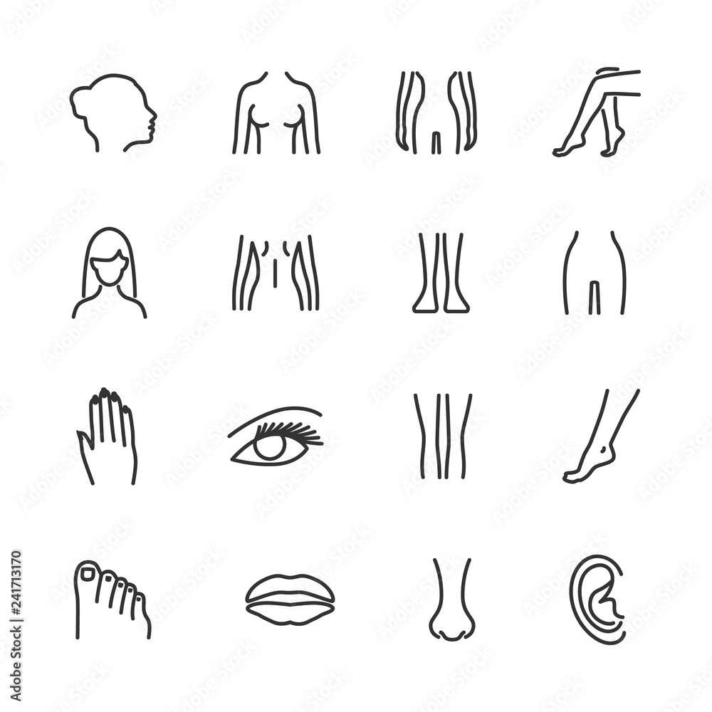 Vector Image Set Of Female Body Parts Line Icons Stock Vector Adobe vector-image-set-of-female-body-parts-line-icons-stock-vector-adobe