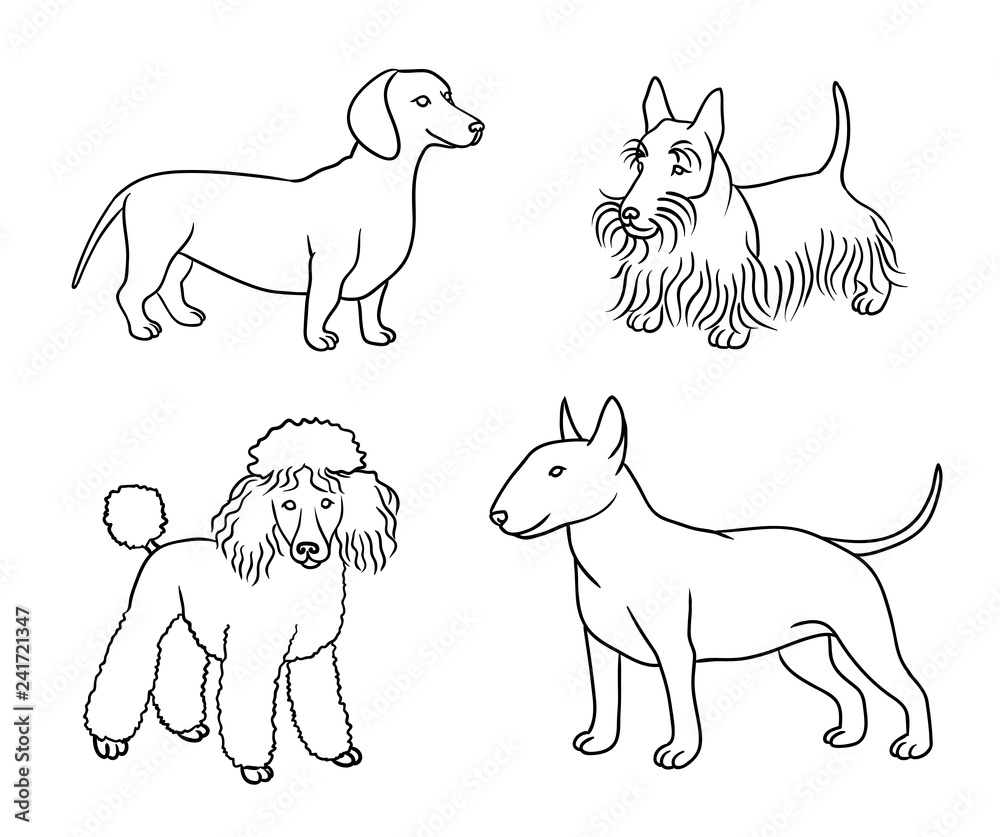 Dogs of different breeds in outlines (set5) - vector illustration Stock ...