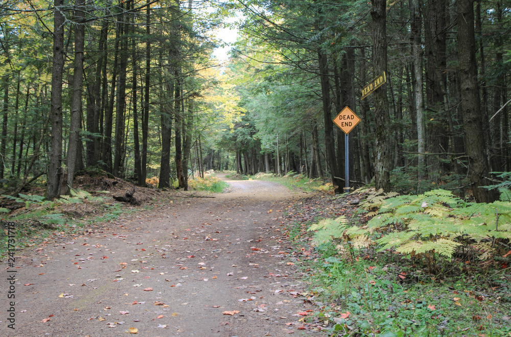 Dead End Road. Remote winding dirt road through a dark forest with ...