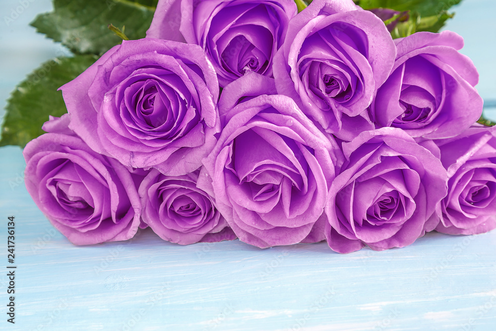 Beautiful Purple Rose Flowers