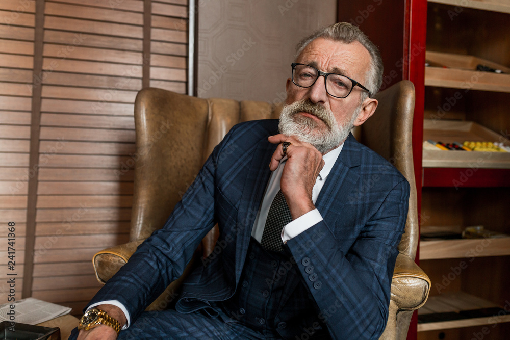 portrait of thoughtful senior university professor with grey hair ...