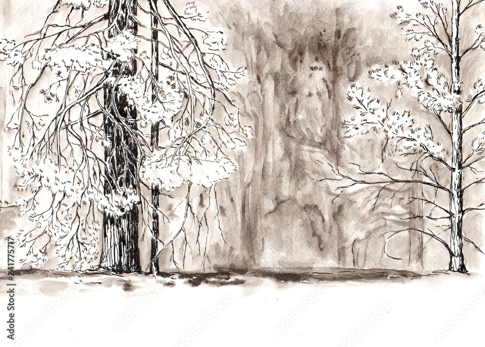 Forest Illustration Ink