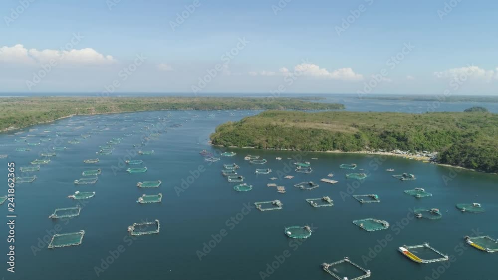 Fish farm with cages for fish and shrimp in Philippines, Luzon. Aerial ...
