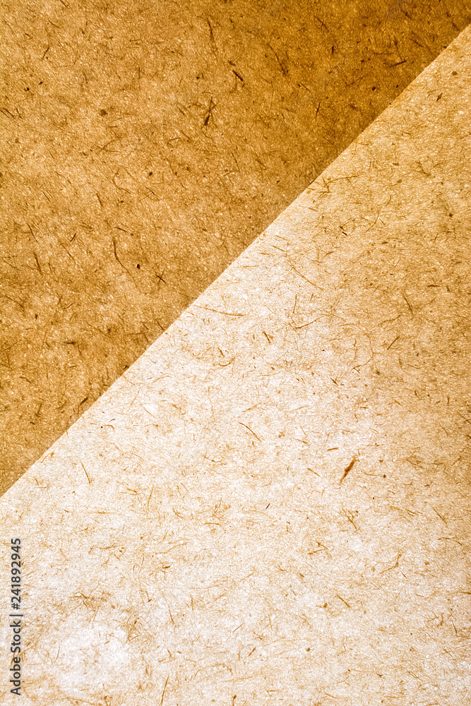 Ancient Chinese Bamboo Paper