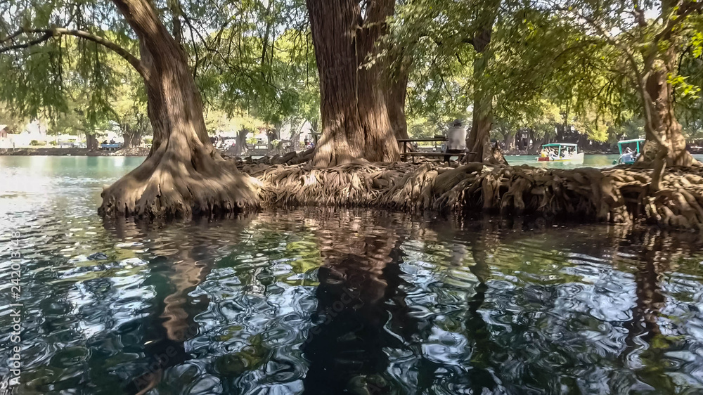 Camecuaro Lake in Michoacan Mexico Stock Photo | Adobe Stock