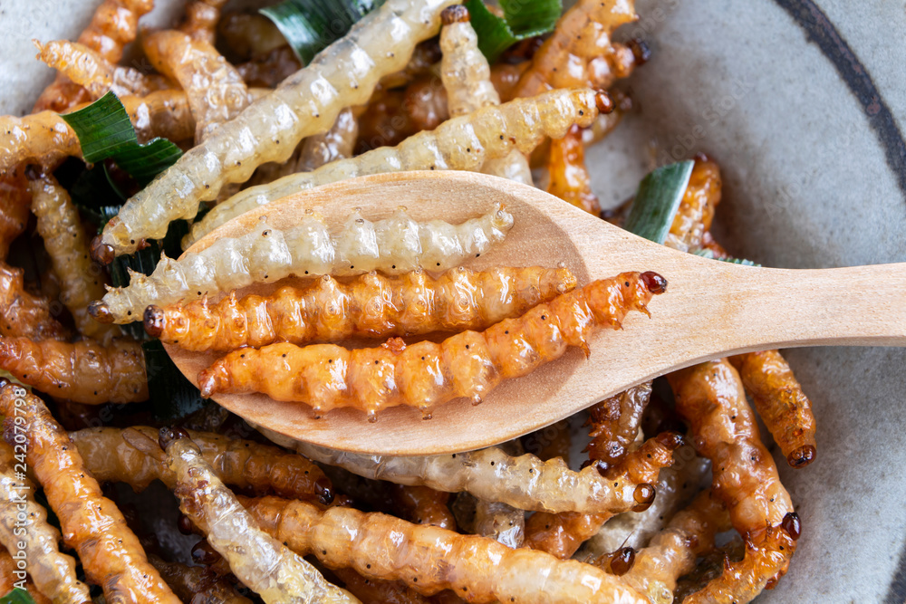 Bamboo edible worm insects crispy or Bamboo Caterpillar in a ceramic ...