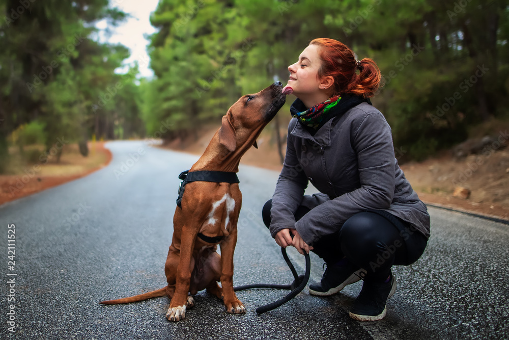 Portrait of happy teenage girl and Rhodesian ridgeback dog . Dog giving ...