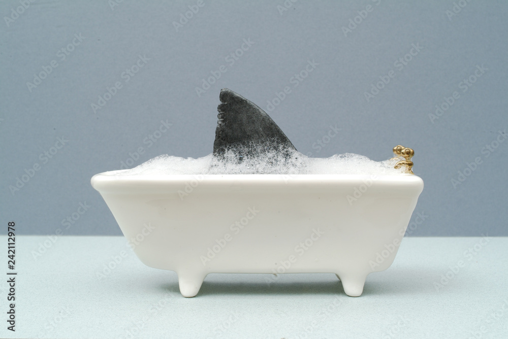 shark fin in bath in a grey setting Stock Photo | Adobe Stock