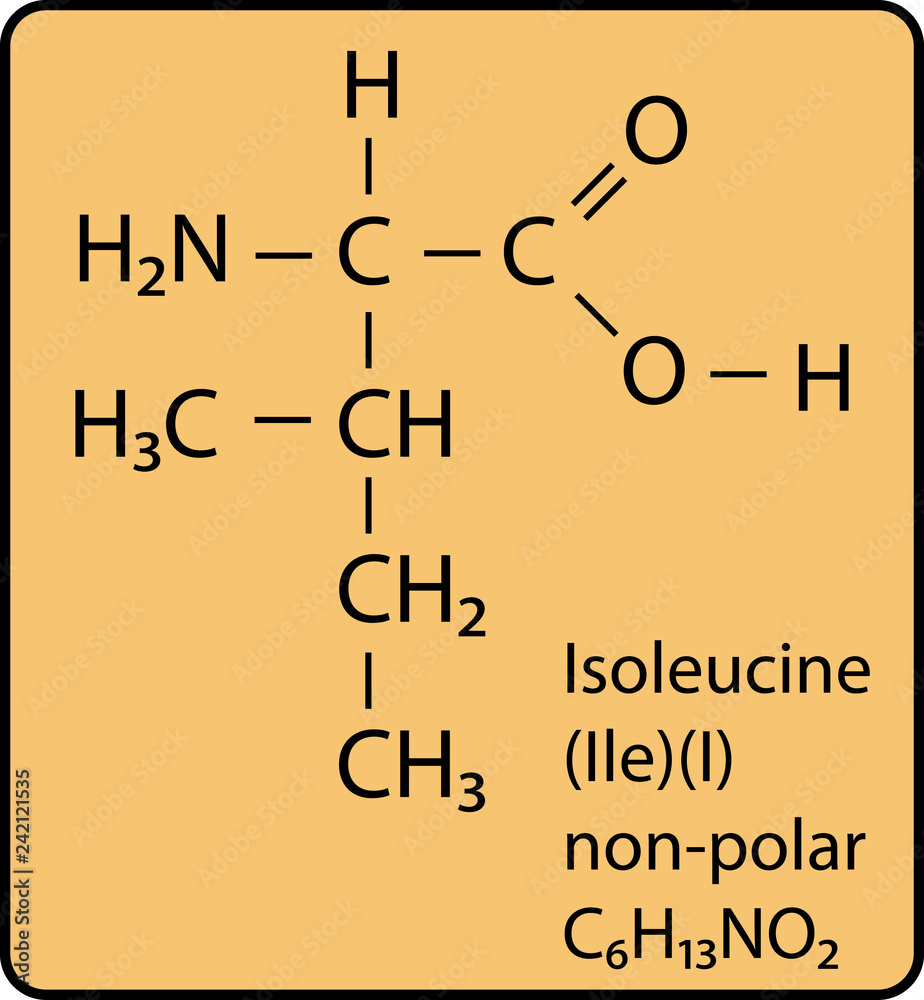 Structure Of Isoleucine