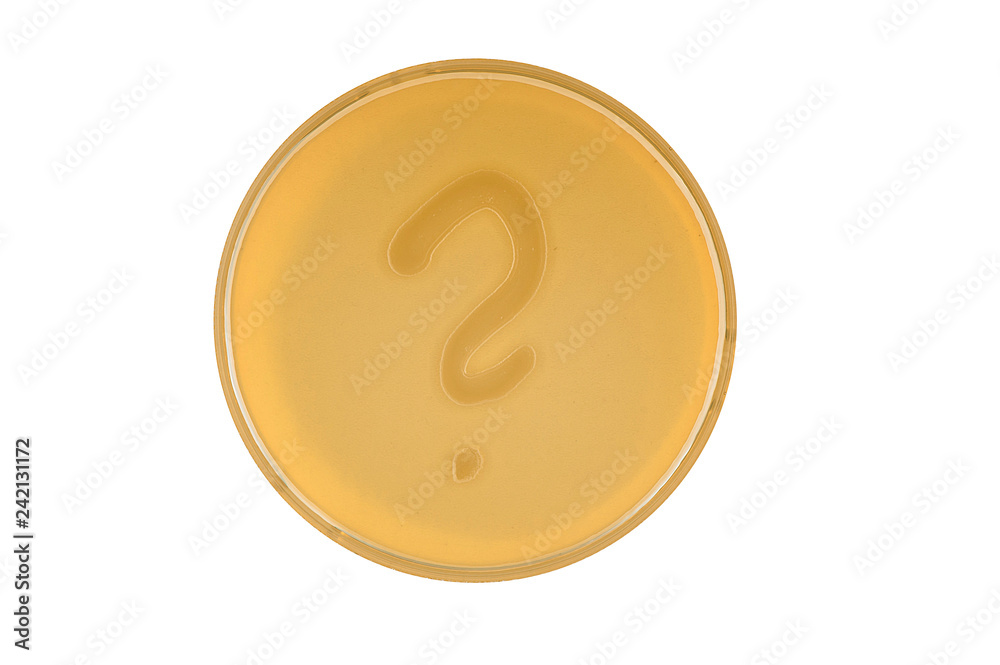 bacteria escherichia coli culture on plate in shape question mark Stock ...