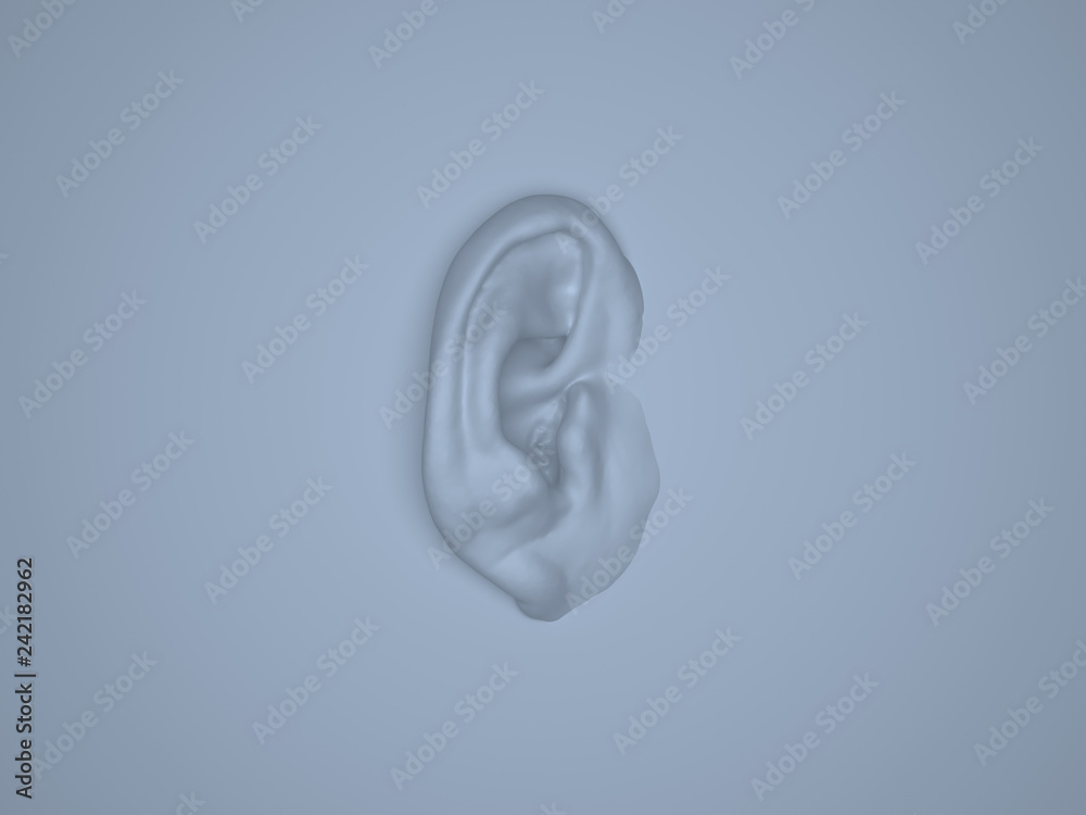 Ear Model - Anatomy of Human Ear Auricle, Lateral Surface. 3D Render ...