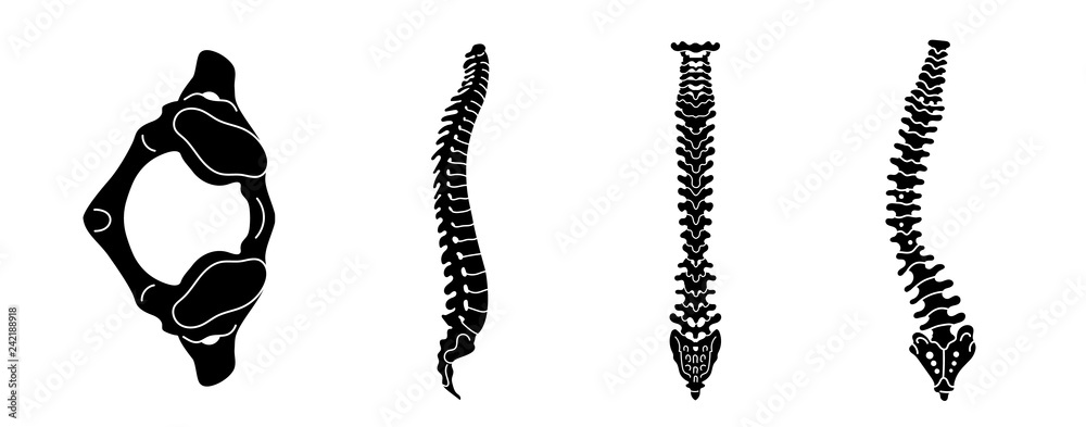 Spine icon set. Simple set of spine vector icons for web design on ...