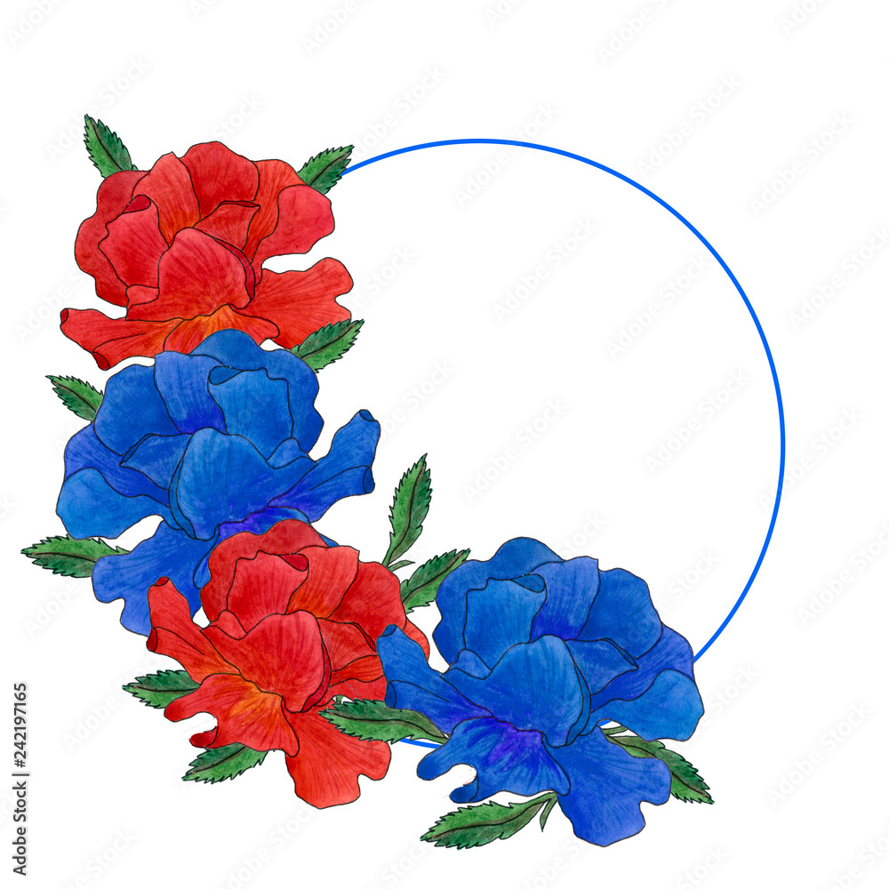 Beautiful blue and red rose flower isolated on white background ...