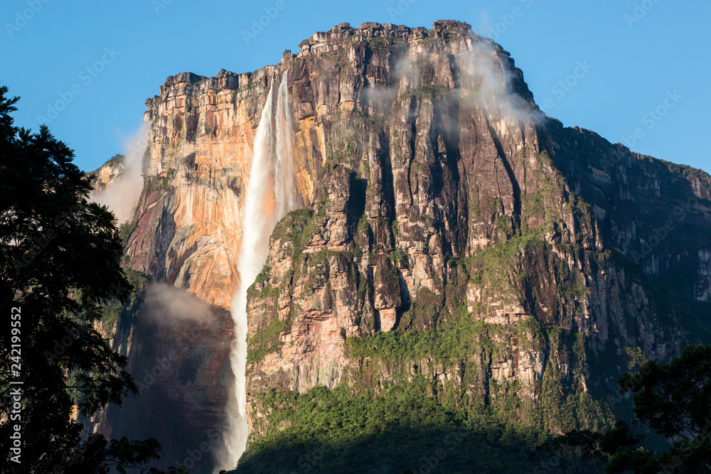 Salto Angel Waterfall in Morning Light, Canaima National Park ...