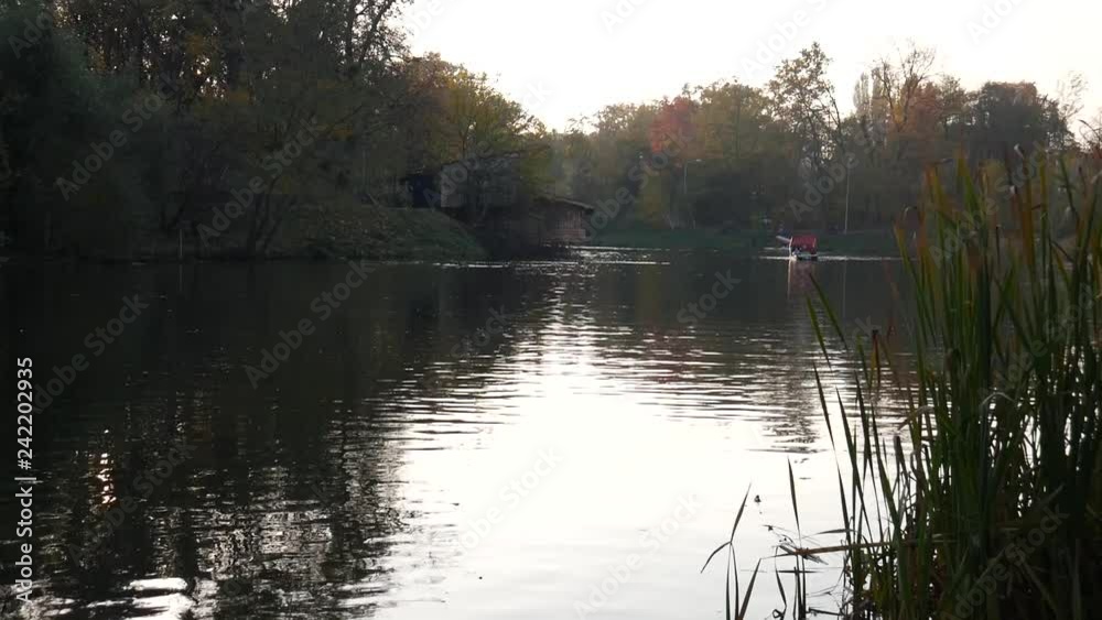 Resting near lake in park. Catamarans. Birds on the water. Edited ...