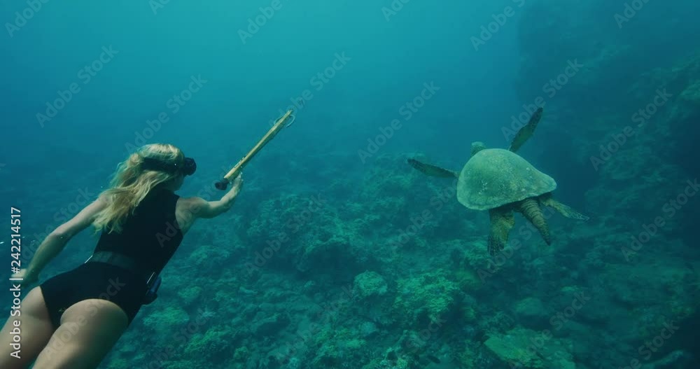 Beautiful freediver woman with speargun swims alongside sea turtle and ...