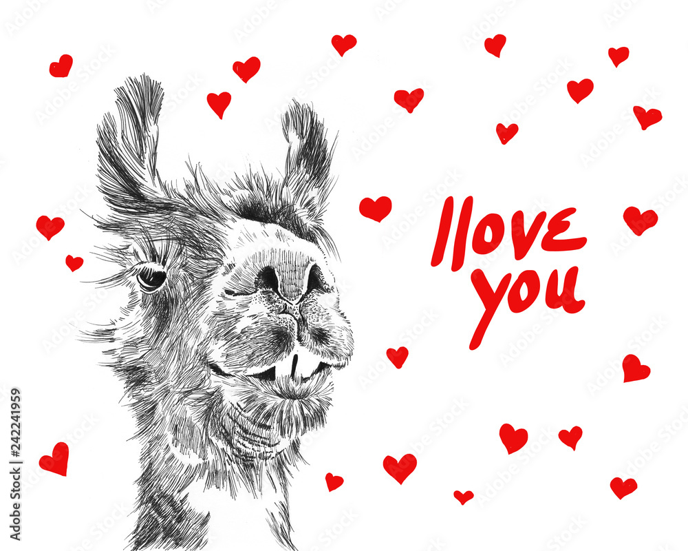 Happy valentines day illustration of cute llama surrounded by hearts ...