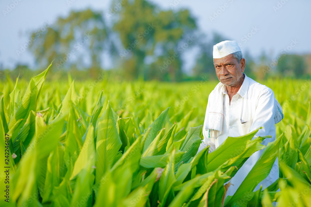 indian farmer at field Stock Photo | Adobe Stock
