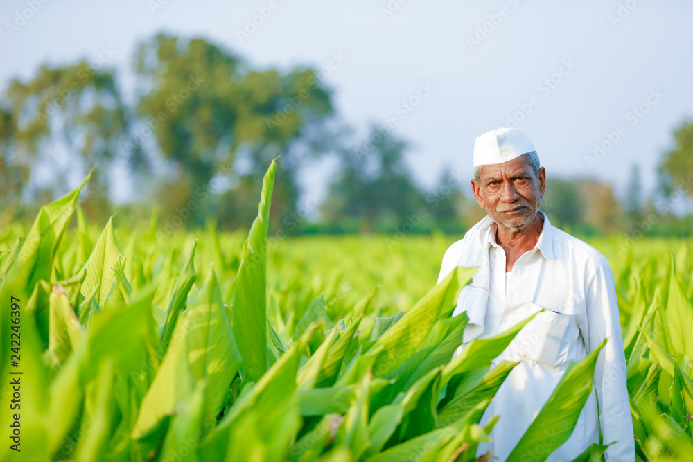 indian farmer at field Stock Photo | Adobe Stock