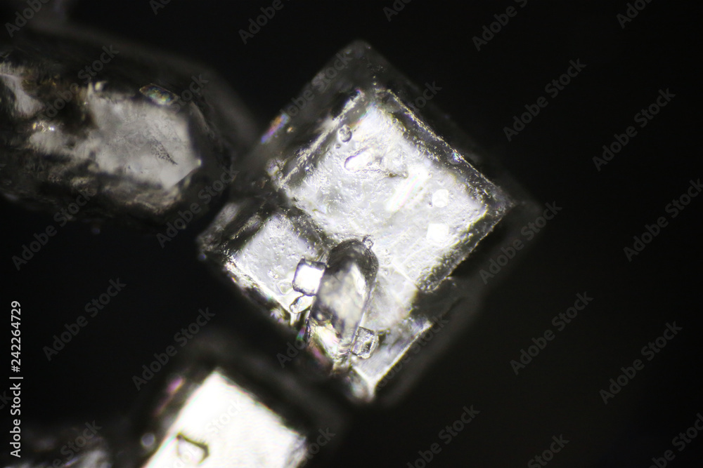 Sugar Crystals Microscope