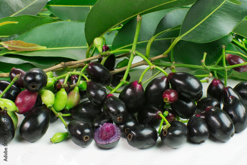 Exotic fruit Syzygium cumini called in Brazil as jamelão in white ...