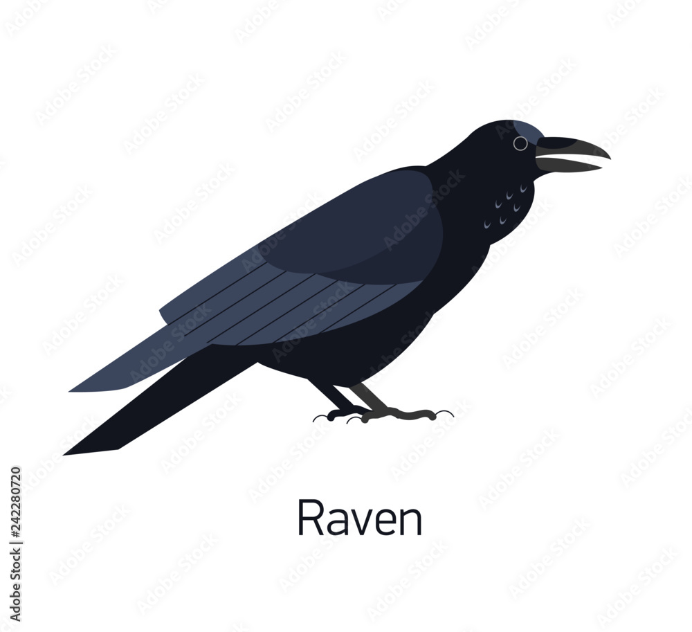 Raven isolated on white background Stock Vector | Adobe Stock