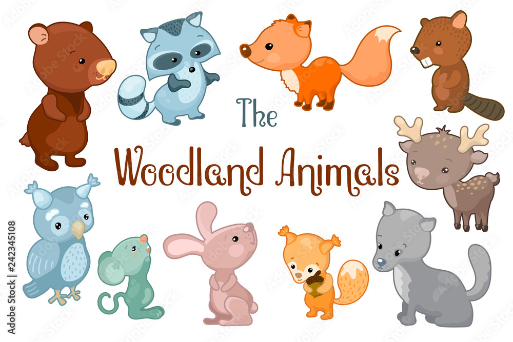Woodland animals vector clipart on white background. Cute vector ...