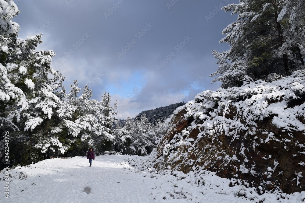 Hiking. From a hikes on the Karia trail.Turgut Castle. The Hydas ...
