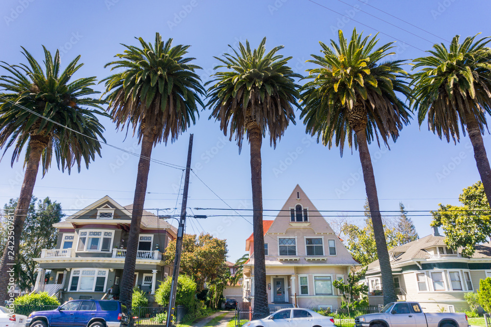Old houses and palm trees on a street in downtown San Jose, California ...