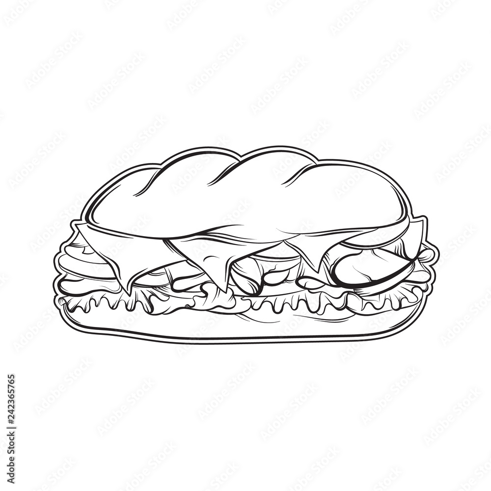 Vector illustration of sandwich made in hand drawn realistic style ...