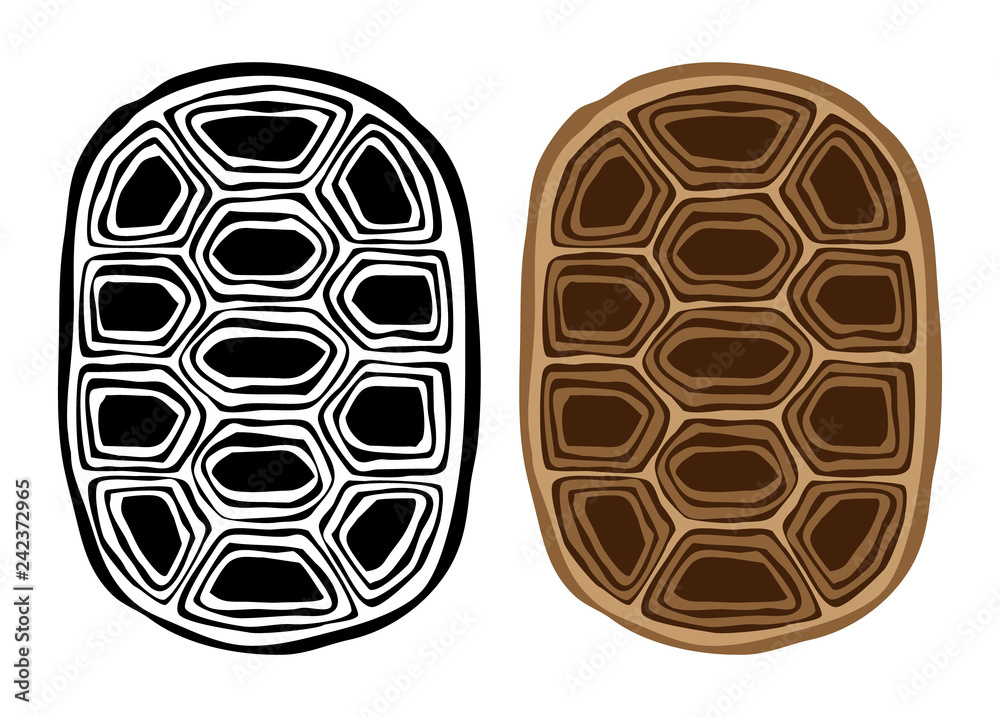 Tortoise shell or carapace turtle texture Stock Vector | Adobe Stock