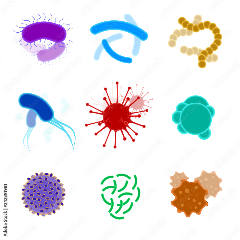 Fungi Bacteria And Viruses