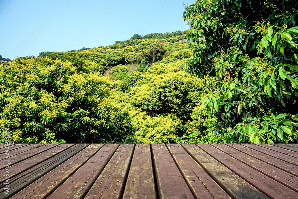 Lychee forest background material / honey and lychee promotional poster ...
