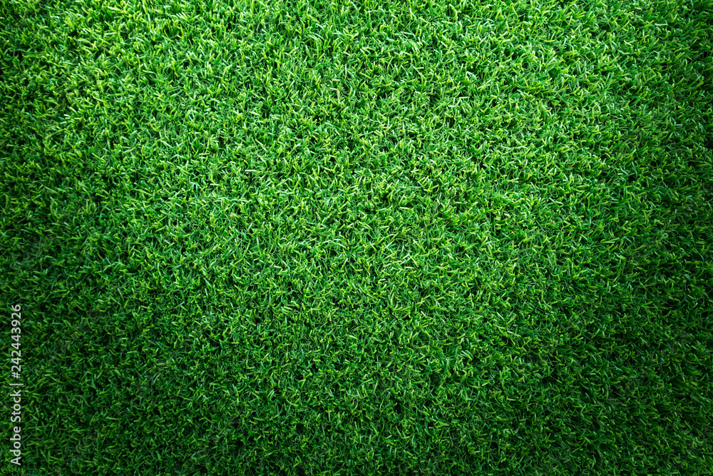 Golf Grass Texture