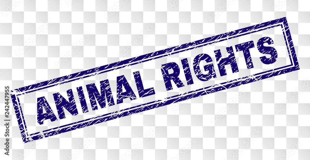 ANIMAL RIGHTS stamp seal print with grunge style and double framed ...