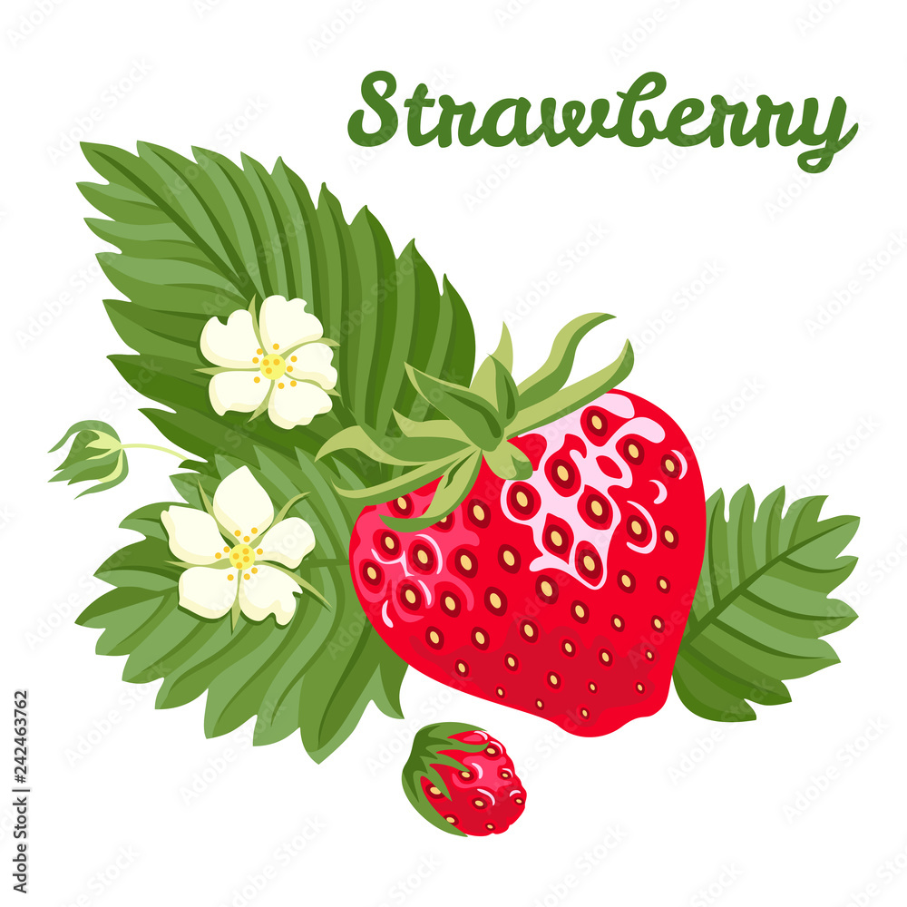Strawberry Template To Color