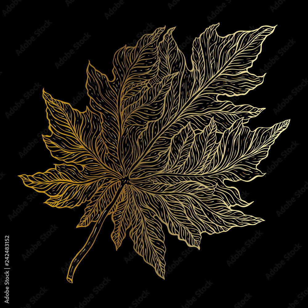 Outline Leaf. Hand drawn Monochrome realistic illustration Stock Vector ...