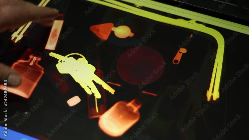 The customs officer is checking the contents of the purse. Male’s hand ...